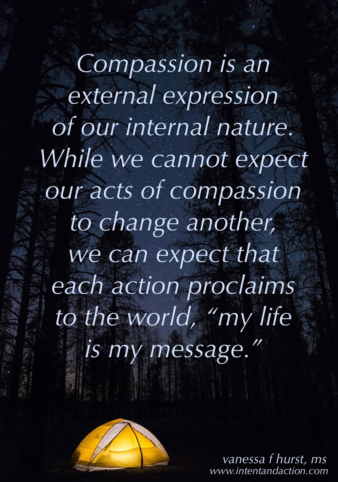 Sparks in Wisdom's Fire: Compassion's Reward