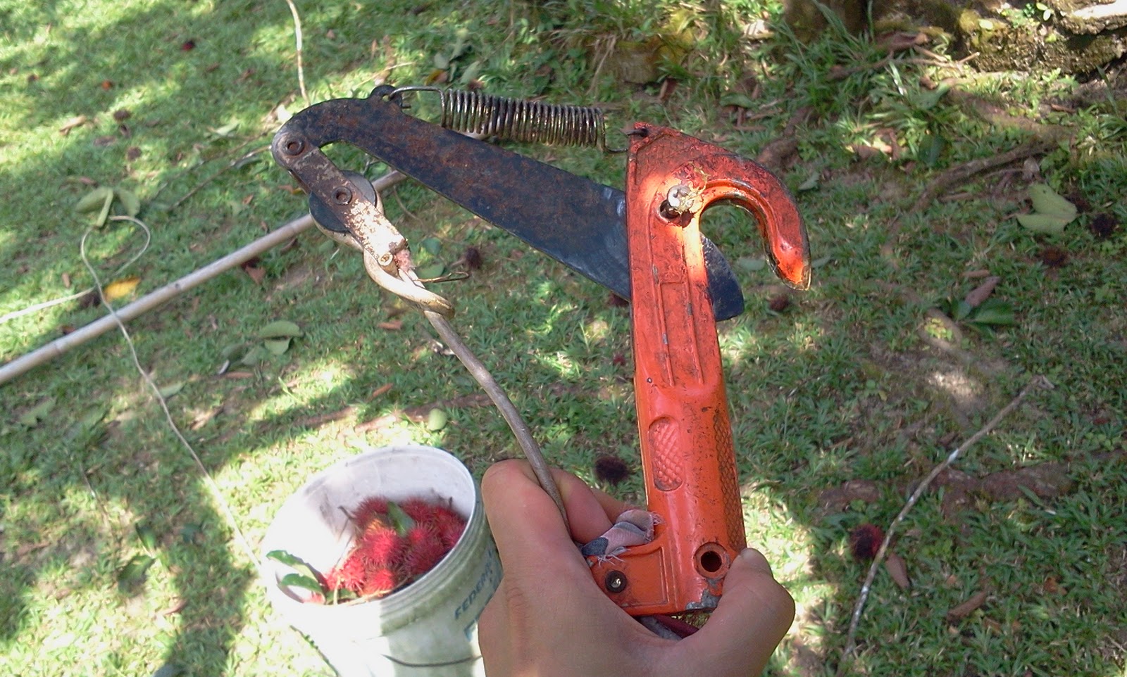 Cetusan Maonx: Mengait rambutan