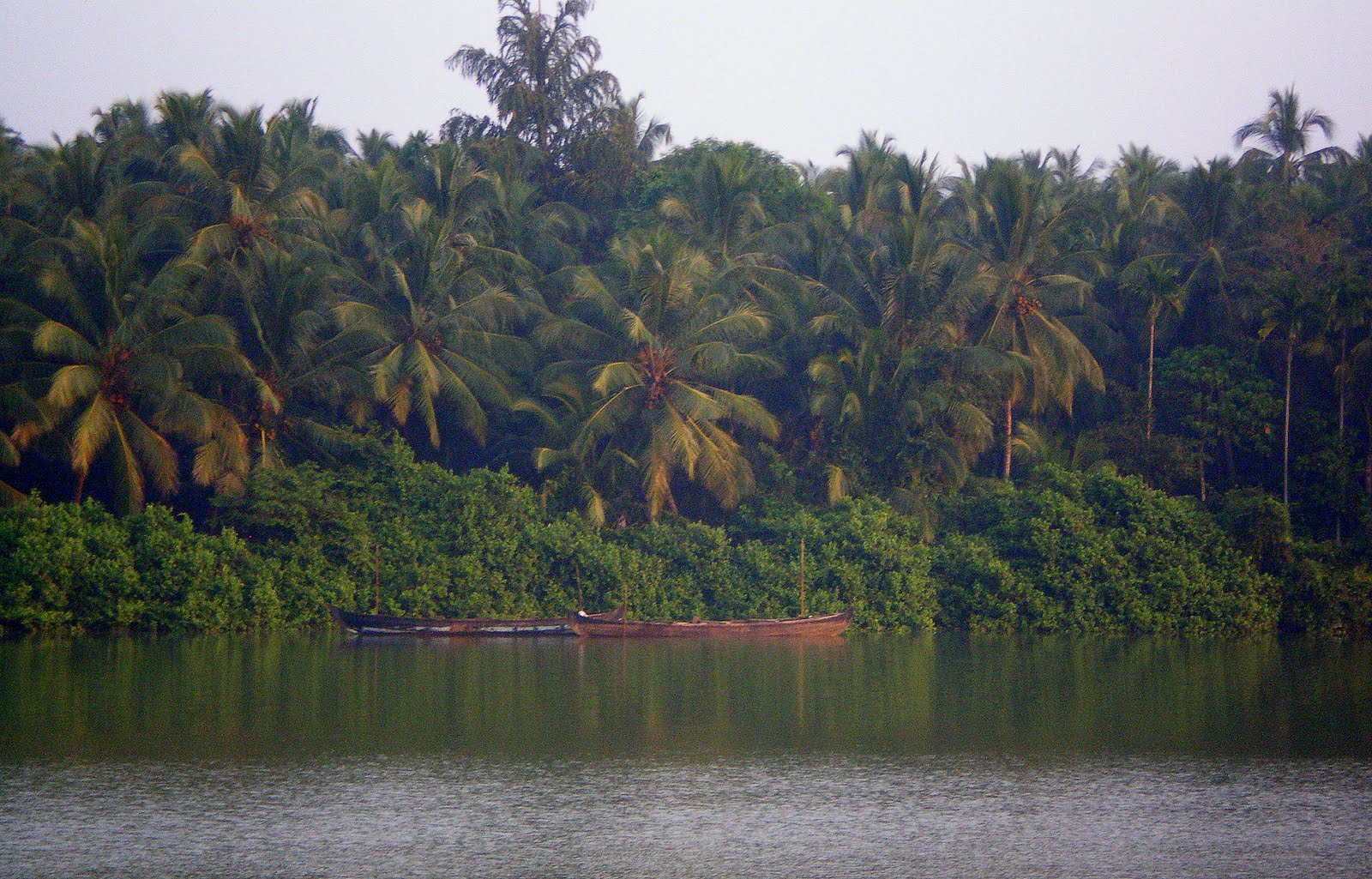 LemmonShot: Calicut - Índia