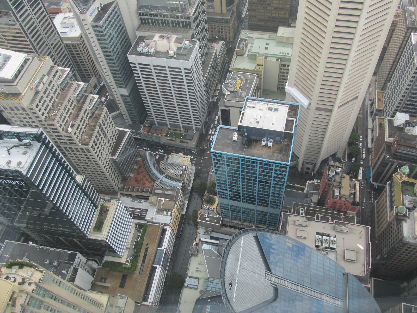 SCCVC Hosts Luurnpa Young People for Sydney Visit: SCCVC HOSTS YOUNG ...