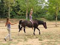 La monta natural: La Monta Natural