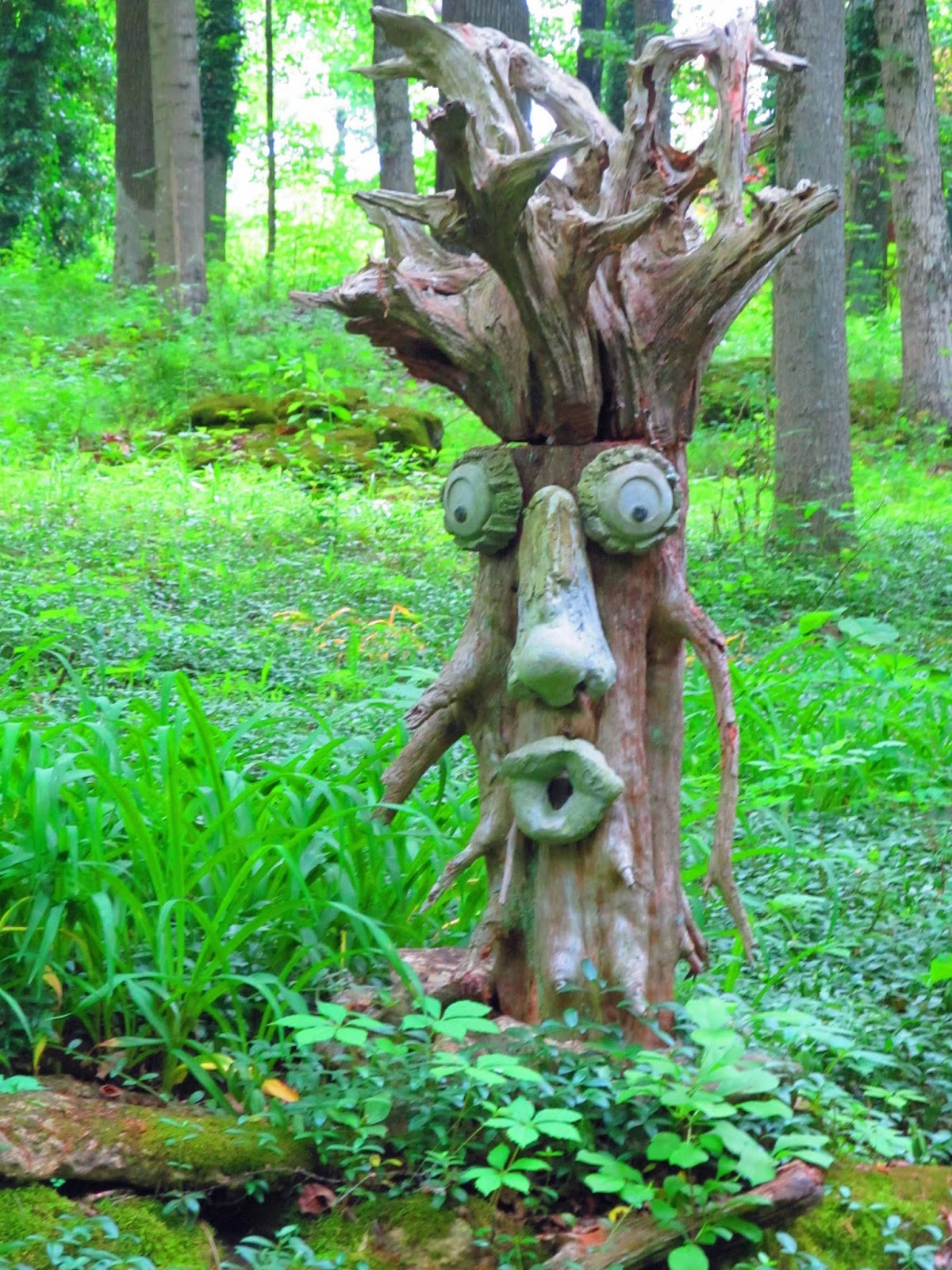 Summit Musings: Mosaic and Macro 2 Monday - Woodland Garden