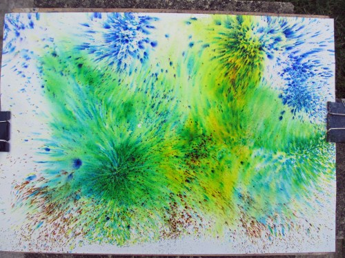 WATERCOLOURS BY POLLY BIRCHALL: BRUSHO