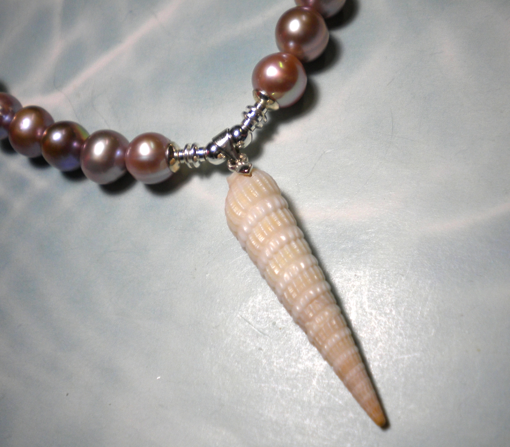 Del's Shells: It was meant to be