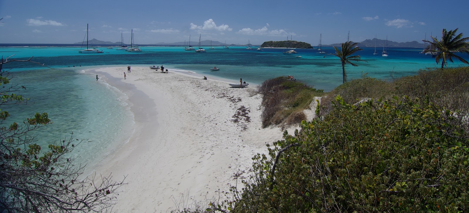 Adventures of Yacht Matador: Grenadines, Tobago Cays
