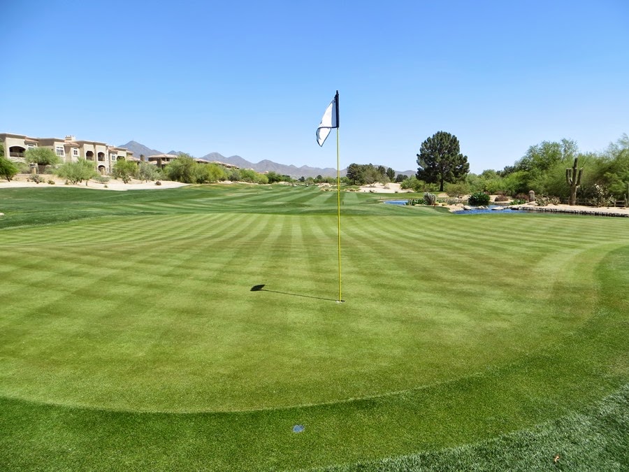 Kristazio on Golf: Golfing TPC Scottsdale- Champions Course