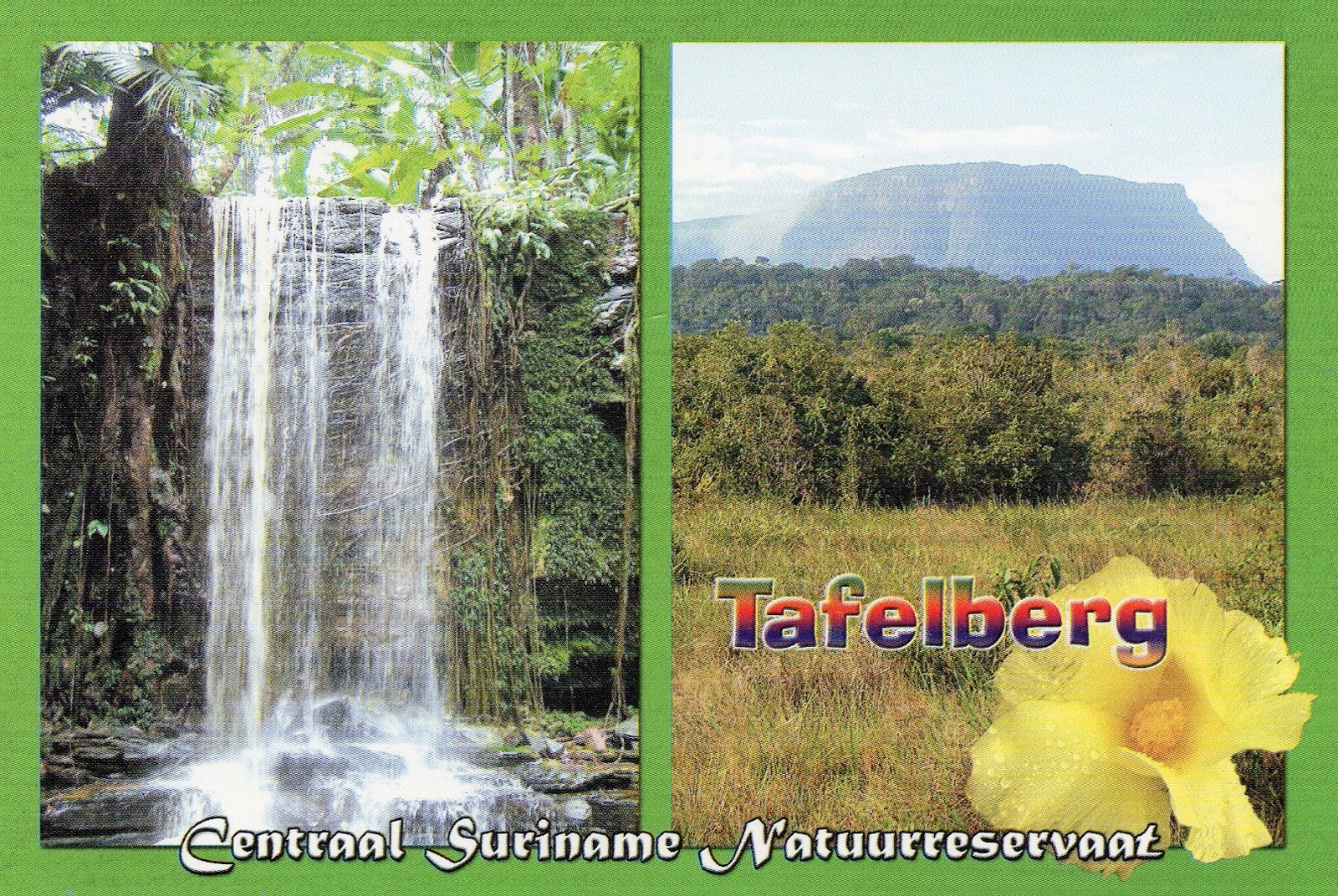 Central Suriname Nature Reserve – IUJLEO