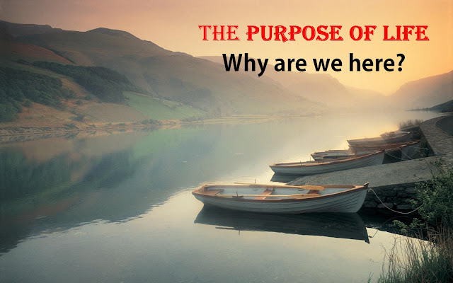 Spiritual Memes: The Purpose of life : Why are we here?