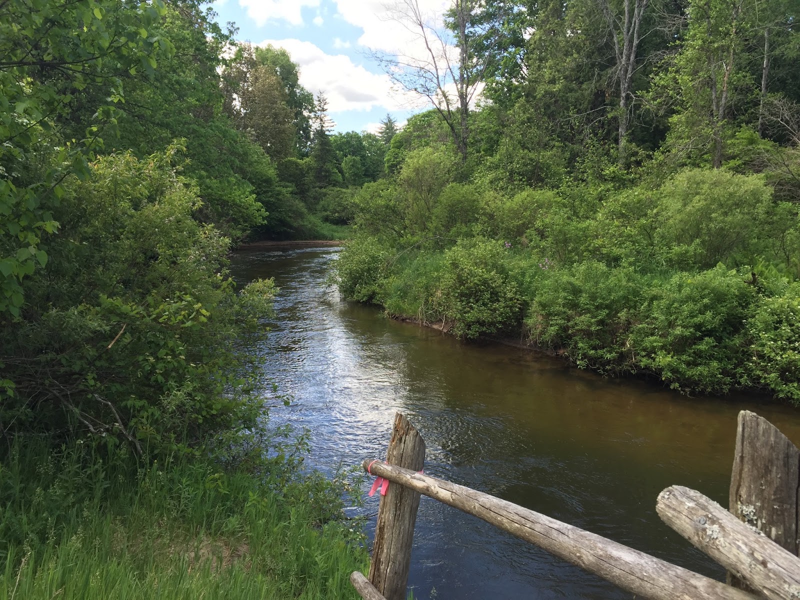 Travel Reviews & Information: Luther, Michigan / Silver Creek State ...