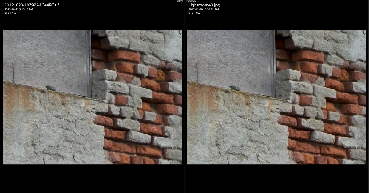Lightroom 4.4RC with new improved X-Trans Sensor Support