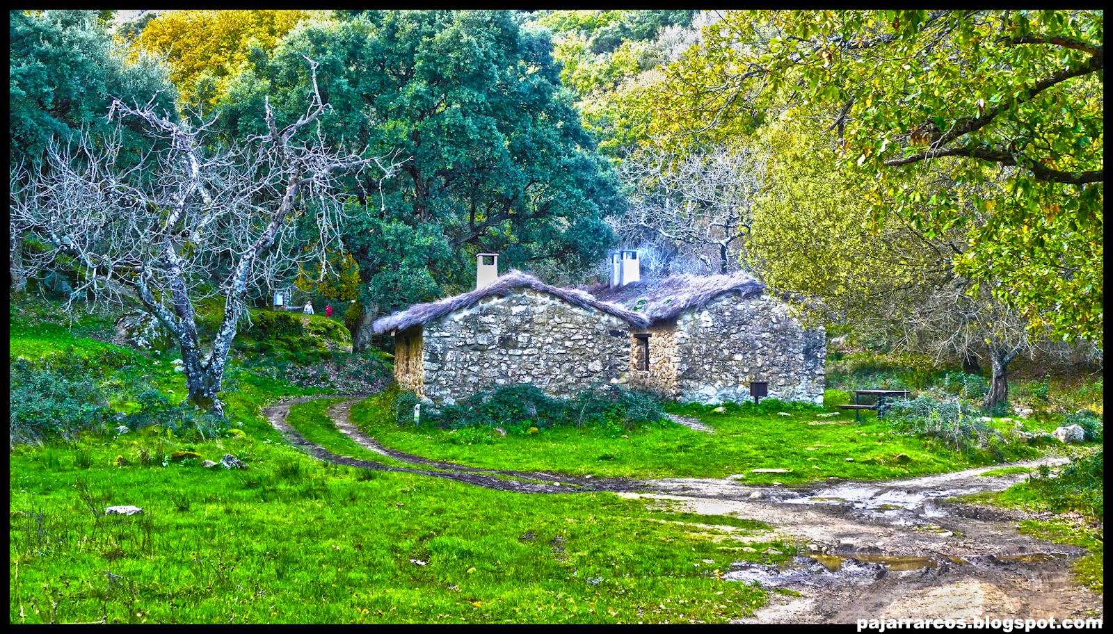 PajarrArcos: La Sauceda