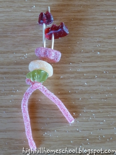 Highhill Homeschool: Cell Unit Study - Week 4 - Cell Walls