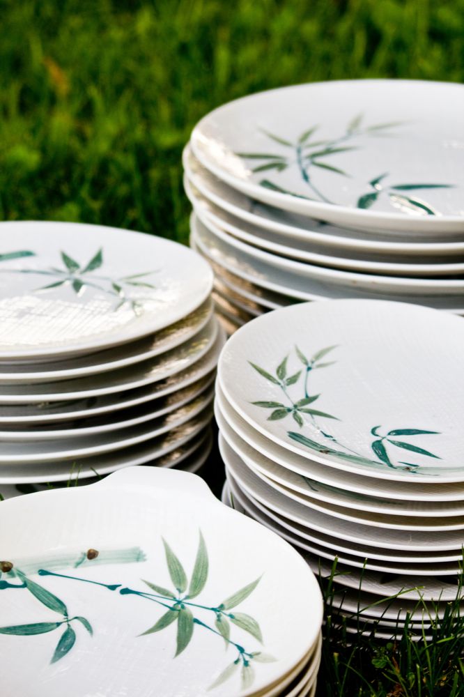 Volans in the Sky: pretty plates