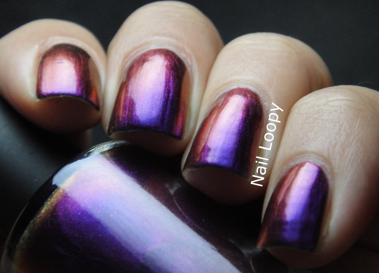 nail loopy: ILNP CYGNUS LOOP