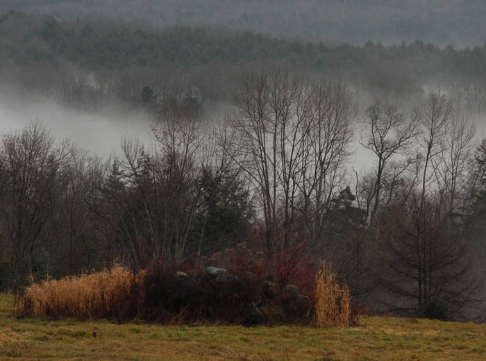 Studio and Garden: The Colors of Gray November