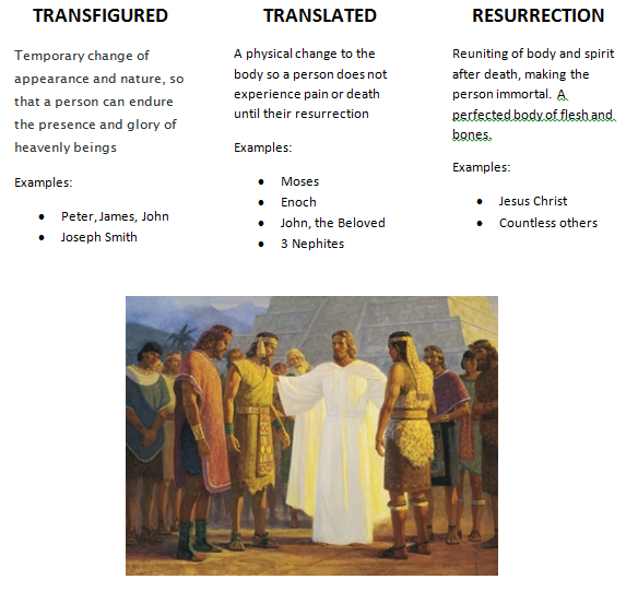 White Lake Seminary: Differences between Transfiguration and Translation