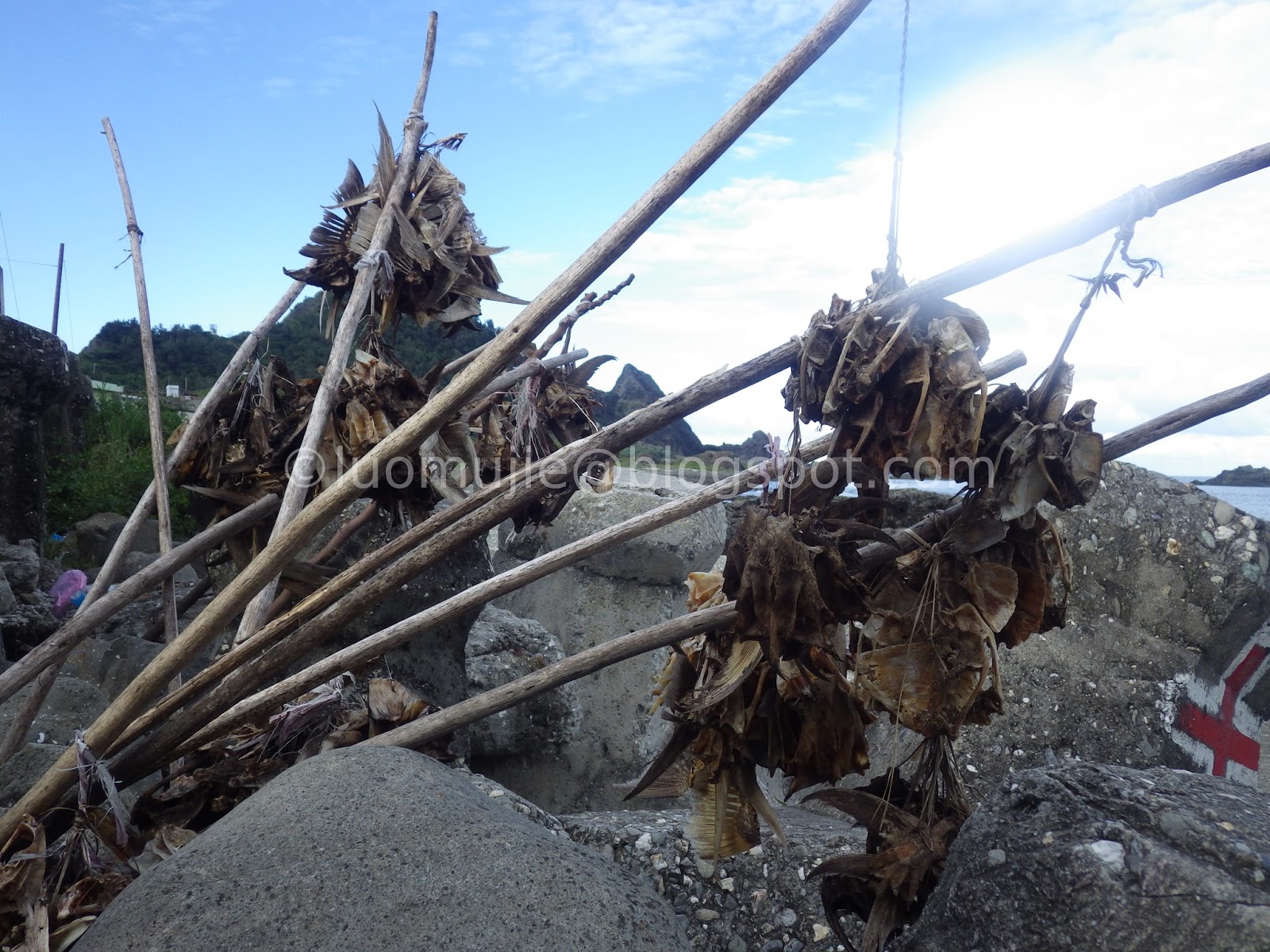 How to go to Orchid Island (蘭嶼) from Fugang Harbor (富岡漁港) - Yami ...