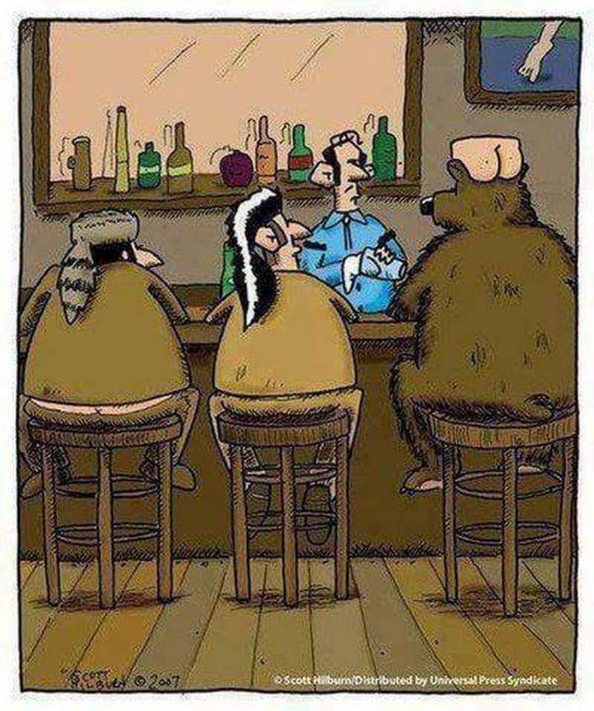 MarMel Artista Visual: INSTINTO PRIMITIVO E DERIVADO