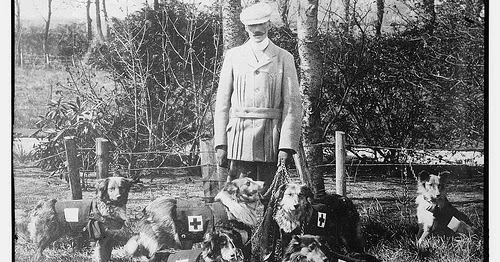 World War I Bridges - WW1 Centenary from the river Piave: Photos of ...