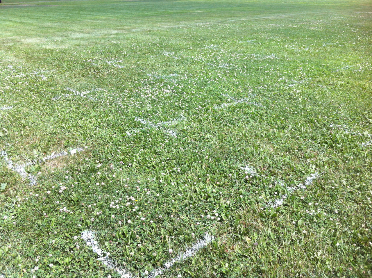 Michigan State University: Turfgrass Field Day