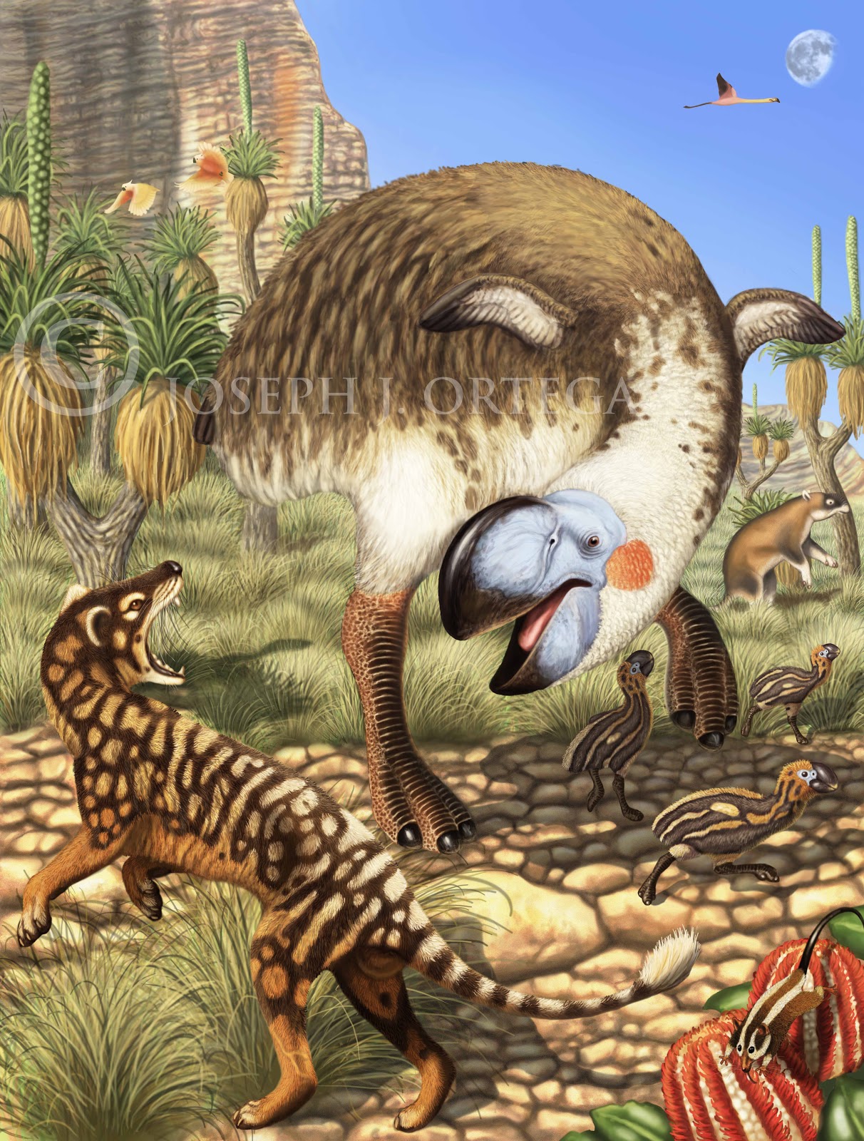 Wild and Wonderful Life on Planet Earth: Magnificent Mihirungs in ...