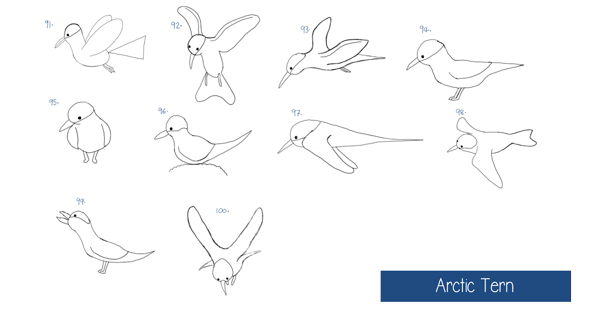 Charlie Serafini's Art Blog: From Script To Screen - Arctic Tern Intial ...