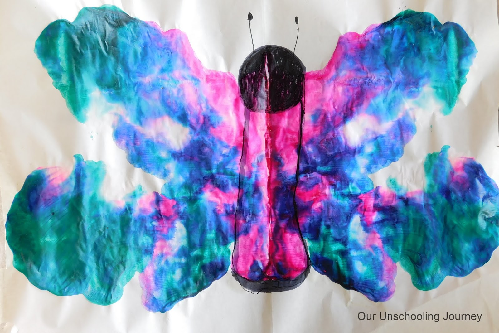 Art Project #12; Color Mixing Butterflies