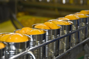 In en om die huis: Gebakte Vrugteslaai