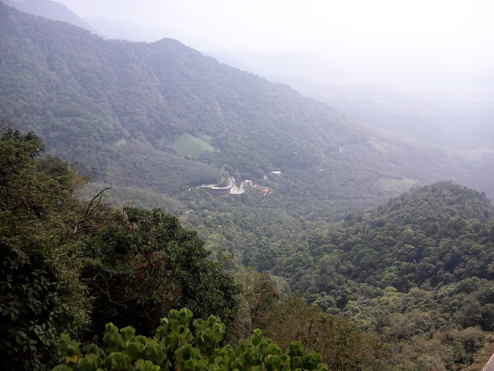 My picture gallery: 'Thamarassery Churam'; the ghat road to wayanad