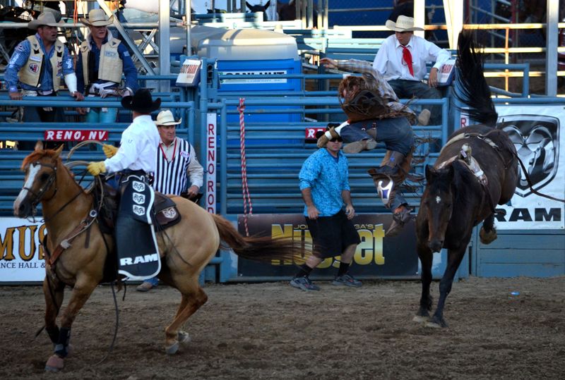 Random Images from a Nightowl: June 2011