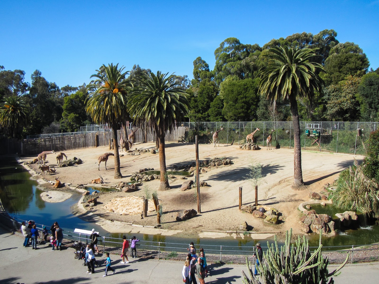 International Flights: Oakland Zoo