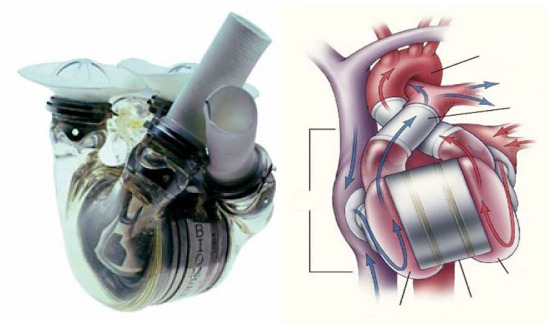 Medicina e Tecnologie