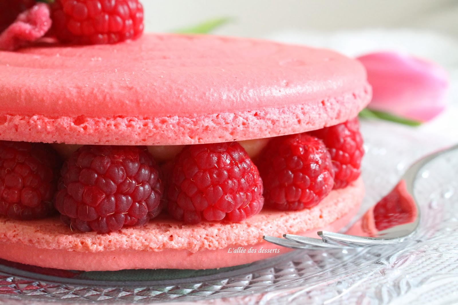 L'allée des desserts: Macaron façon Ispahan de Pierre Hermé