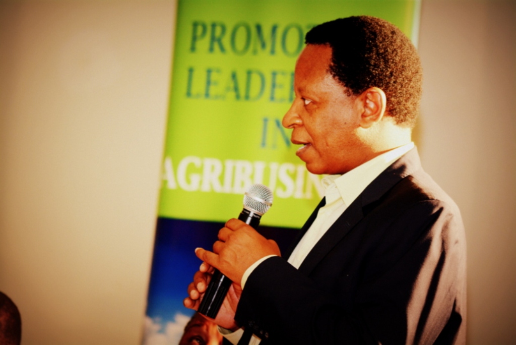 Kitomari Banking & Finance Blog: SAGCOT SUPPORTING AGRICULTURAL ...