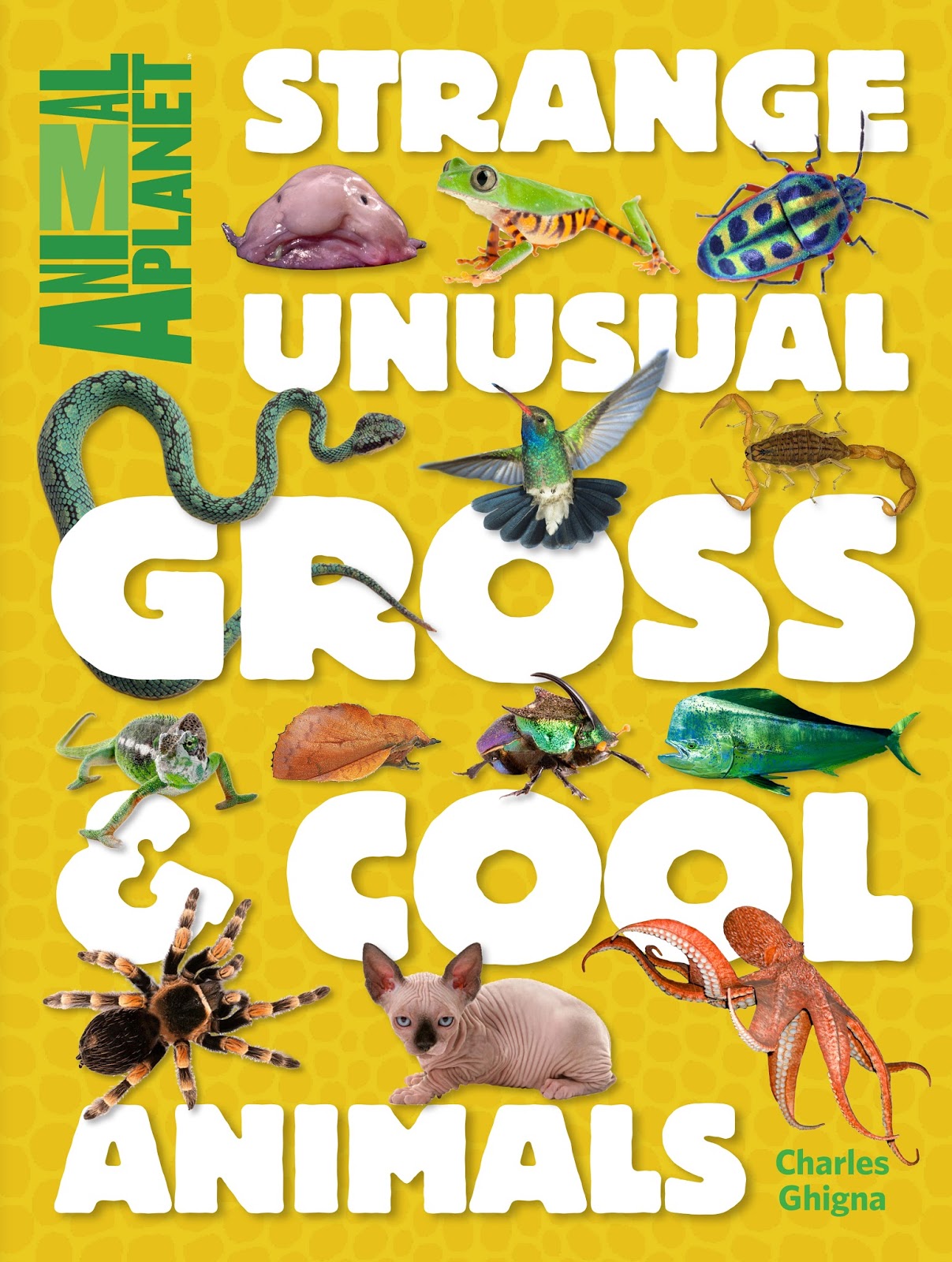 Children's Book Review: Animal Planet Strange, Unusual, Gross, & Cool ...