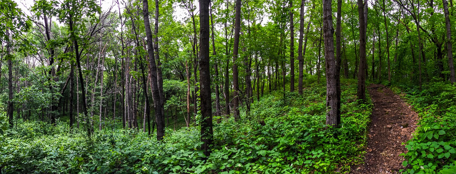 Ice Age National Trail - Blue Spring Lake Segment