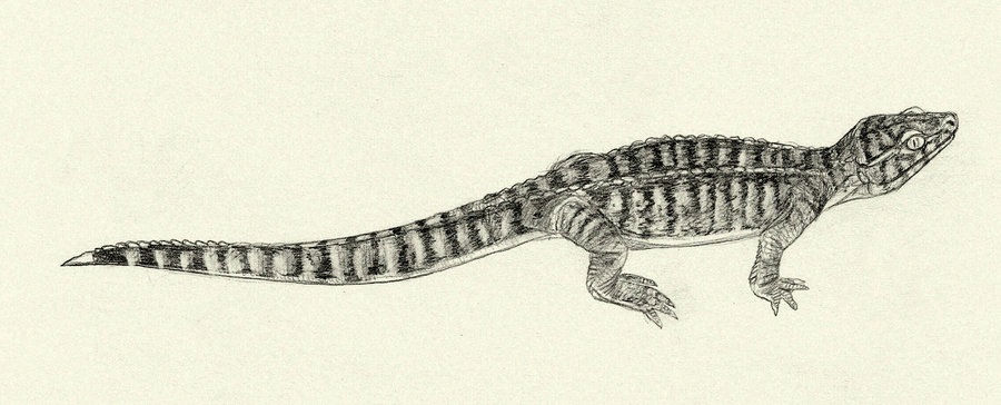 Escenarios prehistóricos: Monjurosuchus
