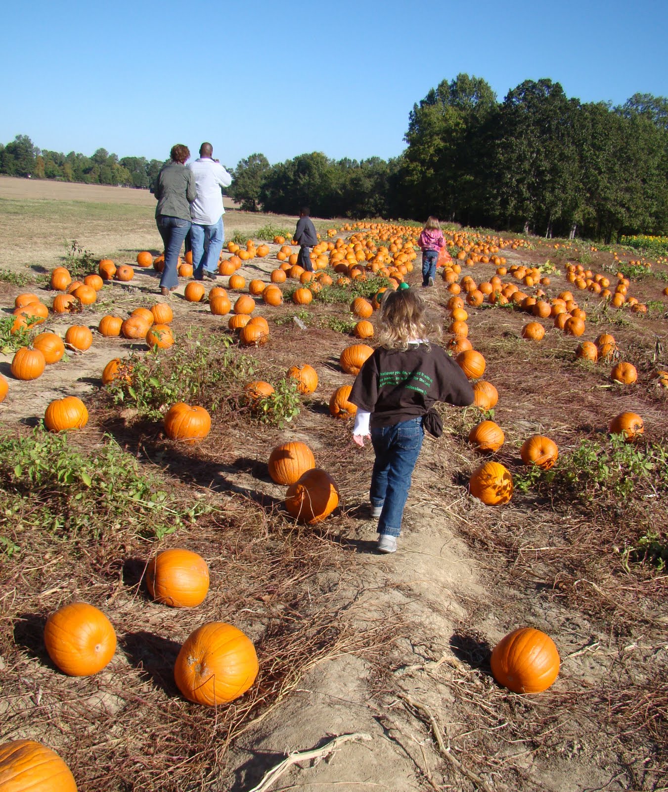 The Sweet Life of...The Hibbard Family: Audrey's Field Trip to the ...