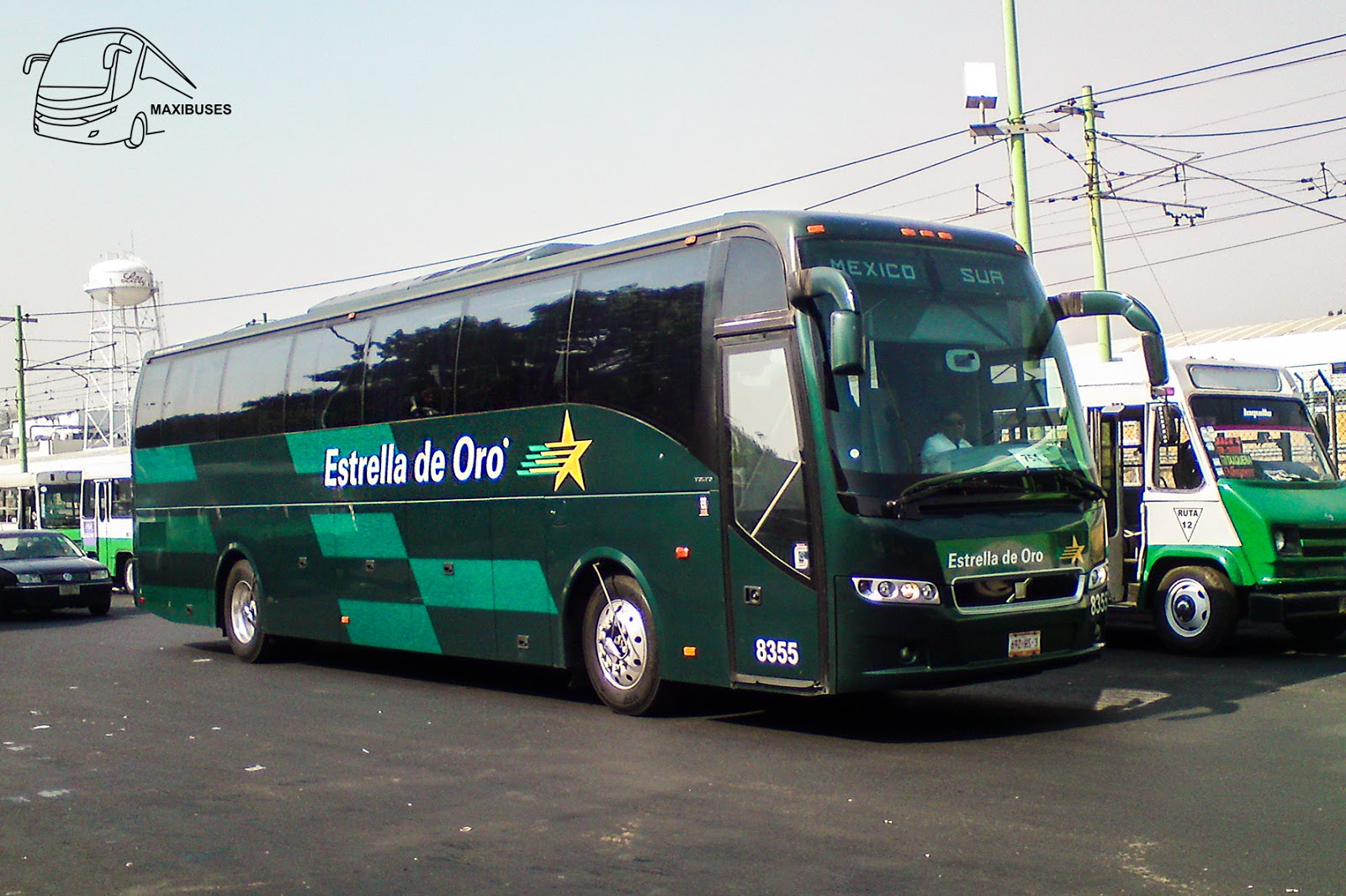 MAXIBUSES: ESTRELLA DE ORO PLUSS