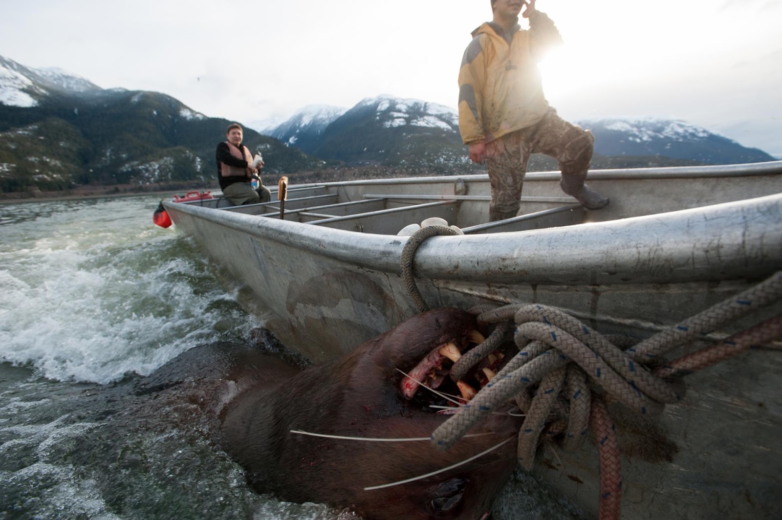 “Salvation Fish” That Sustained Native People Now Needs Saving | Louis ...