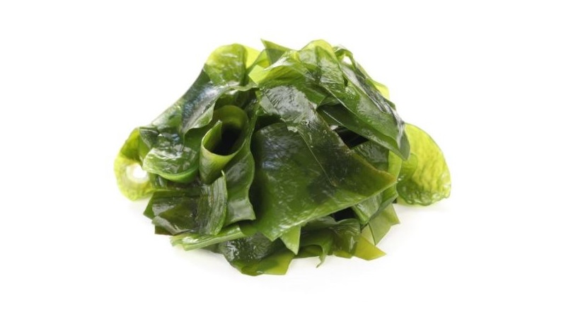 Prim and Propah: Spotlight on Seaweed