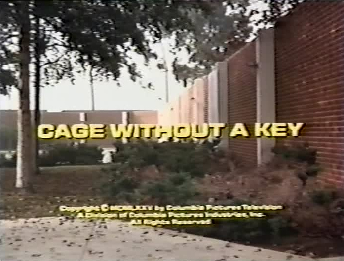 Everything Susan Dey: Susan Dey in Cage Without a Key
