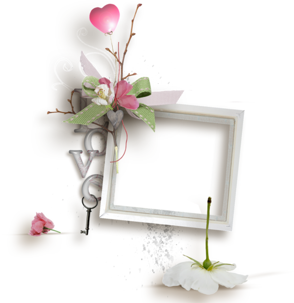 ForgetMeNot: Cluster frames