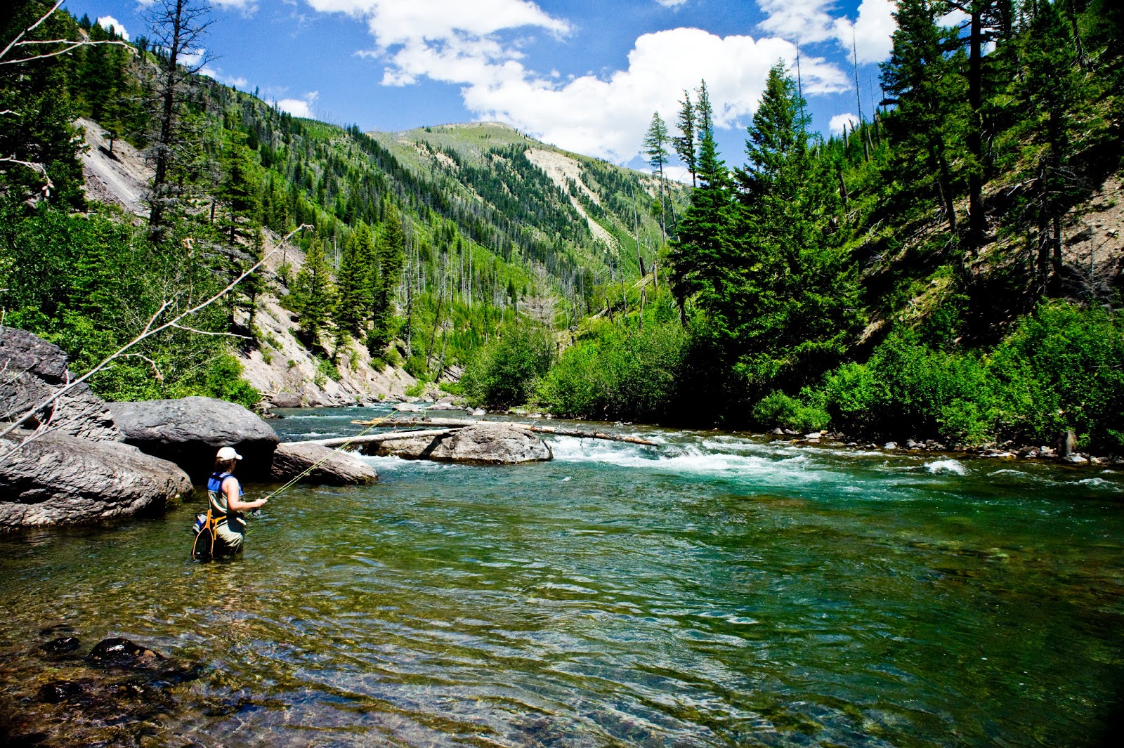 Troutbugs The Fifteen Percent troutbugs-the-fifteen-percent