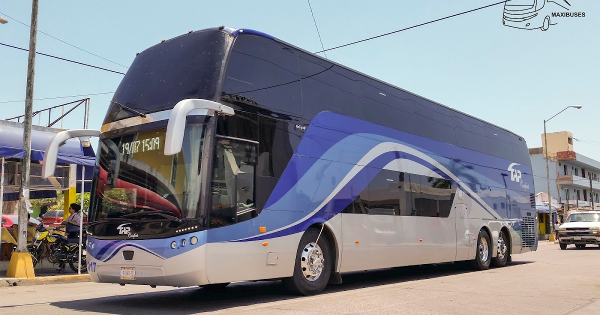MAXIBUSES: TRANSPORTES Y AUTOBUSES DEL PACÍFICO, CONFORT (TAP CONFORT VIP)