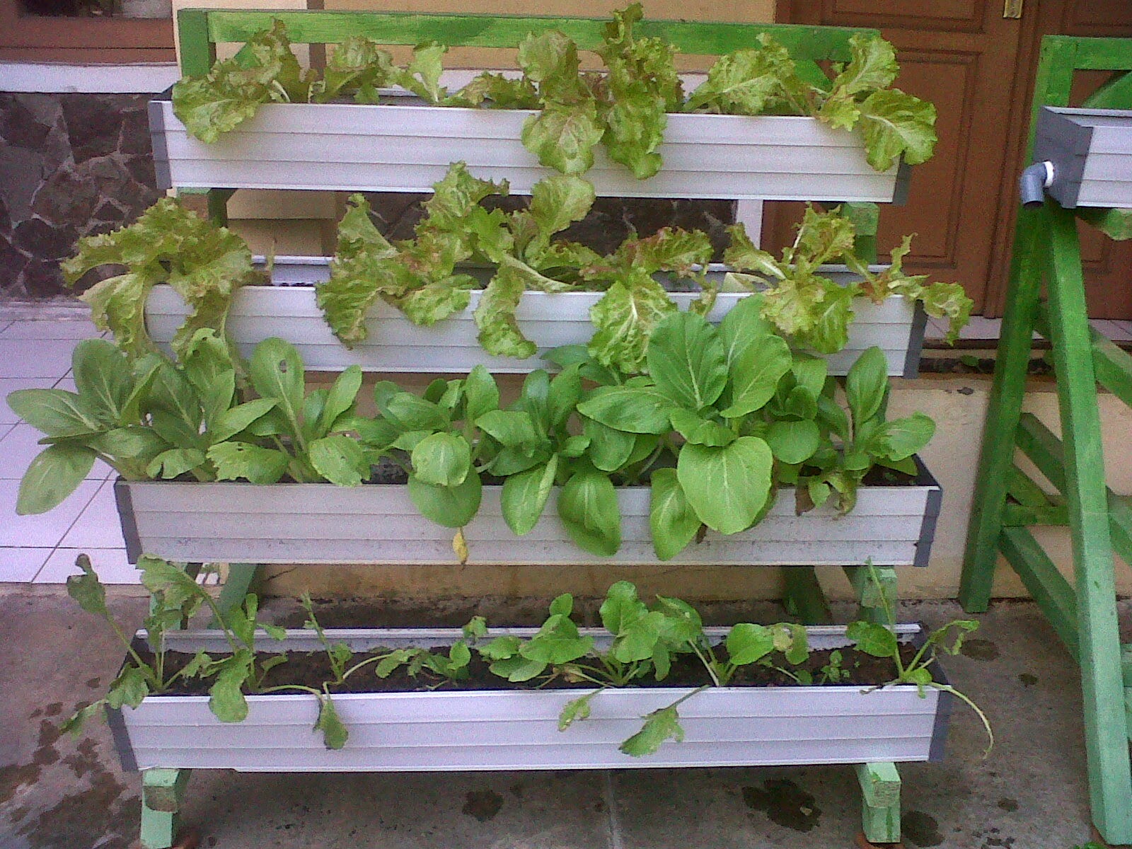 Ide Terkini 41+ Rak Tanaman Sayuran