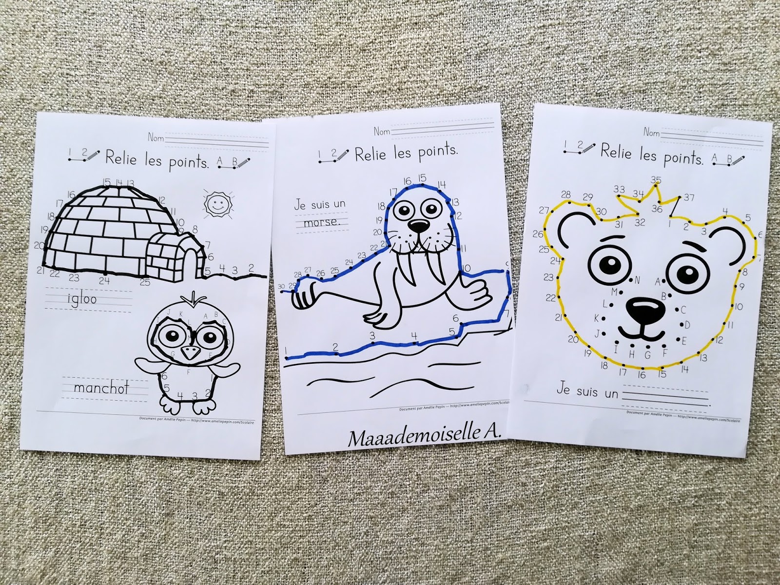 Maaademoiselle A.: || Nos activités sur les animaux polaires