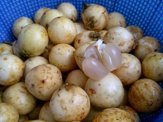 Buah langka yang memiliki rasa eksklusif | OYIN AYASHI