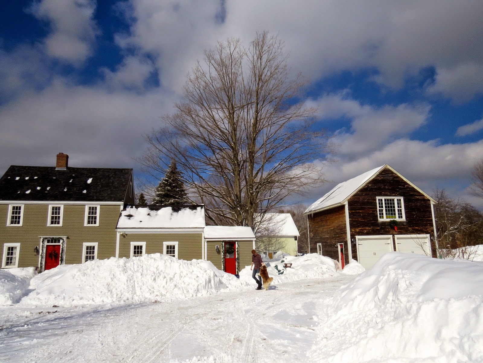 The Long Awaited Home: Winter at Home