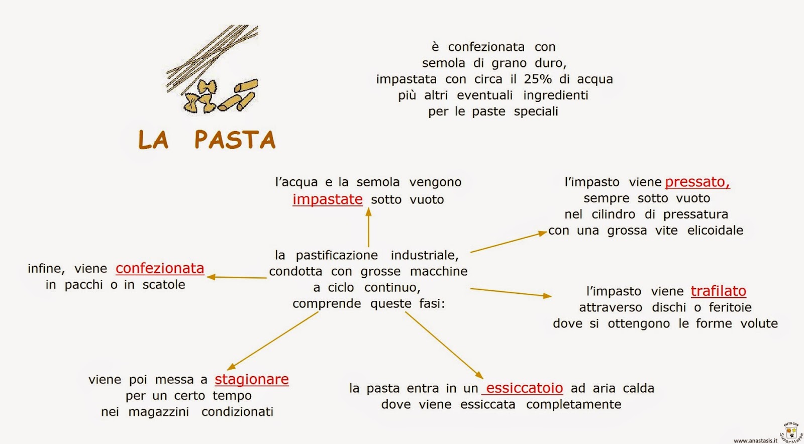 Paradiso delle mappe: La pasta